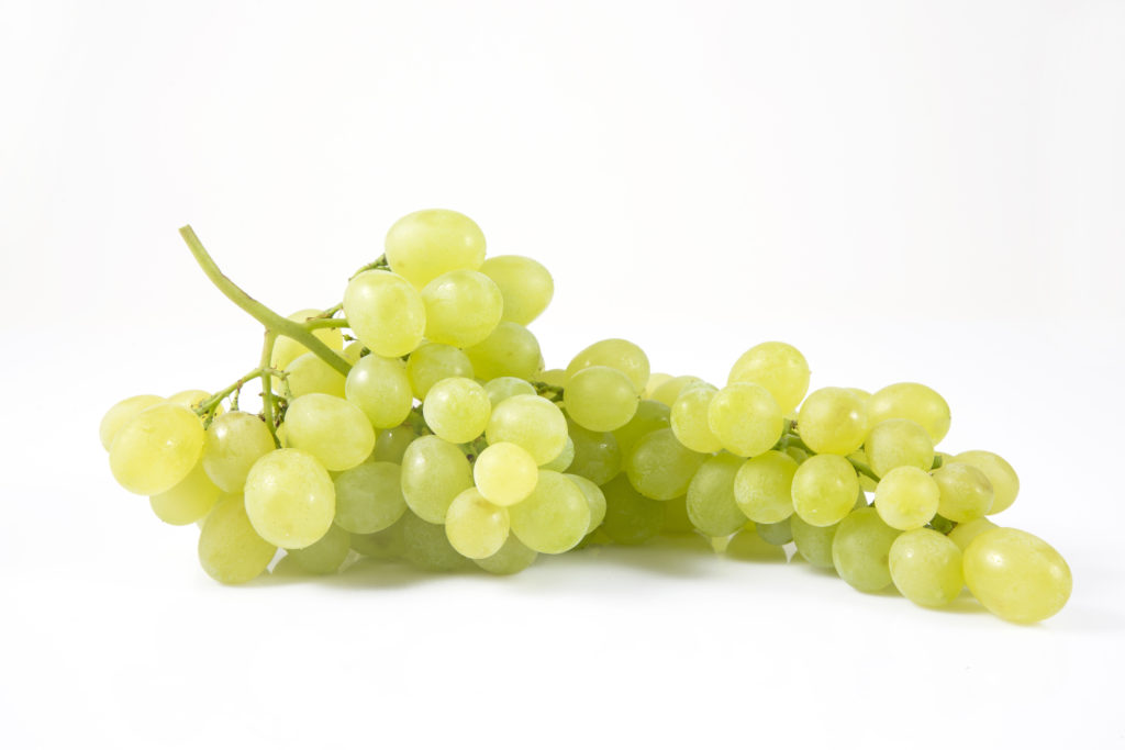 Ivory – International Produce Group