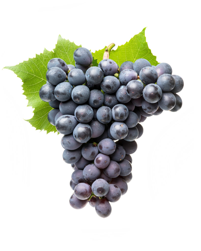 Midnight Beauty – International Produce Group