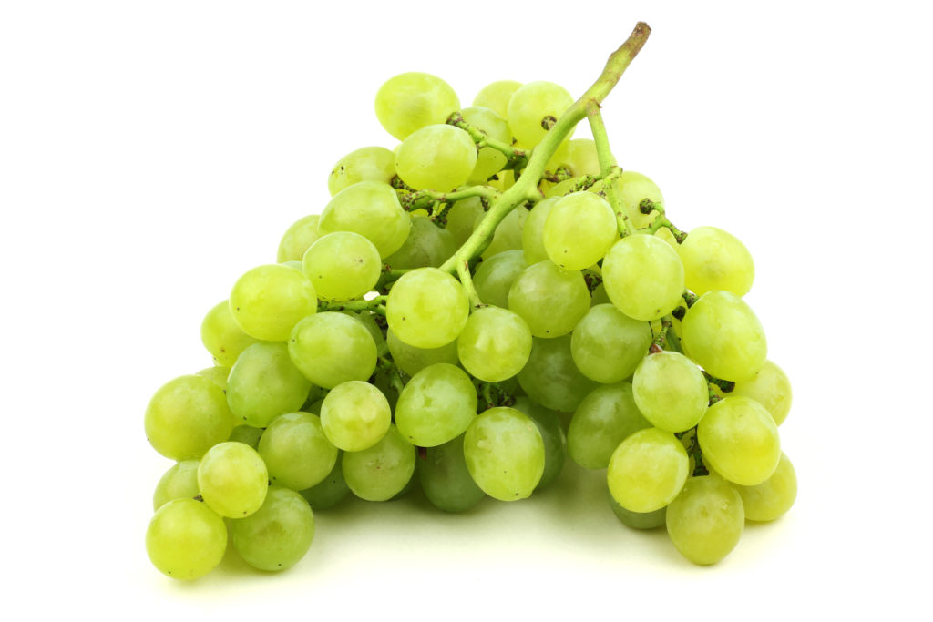 Sweet Globe – International Produce Group